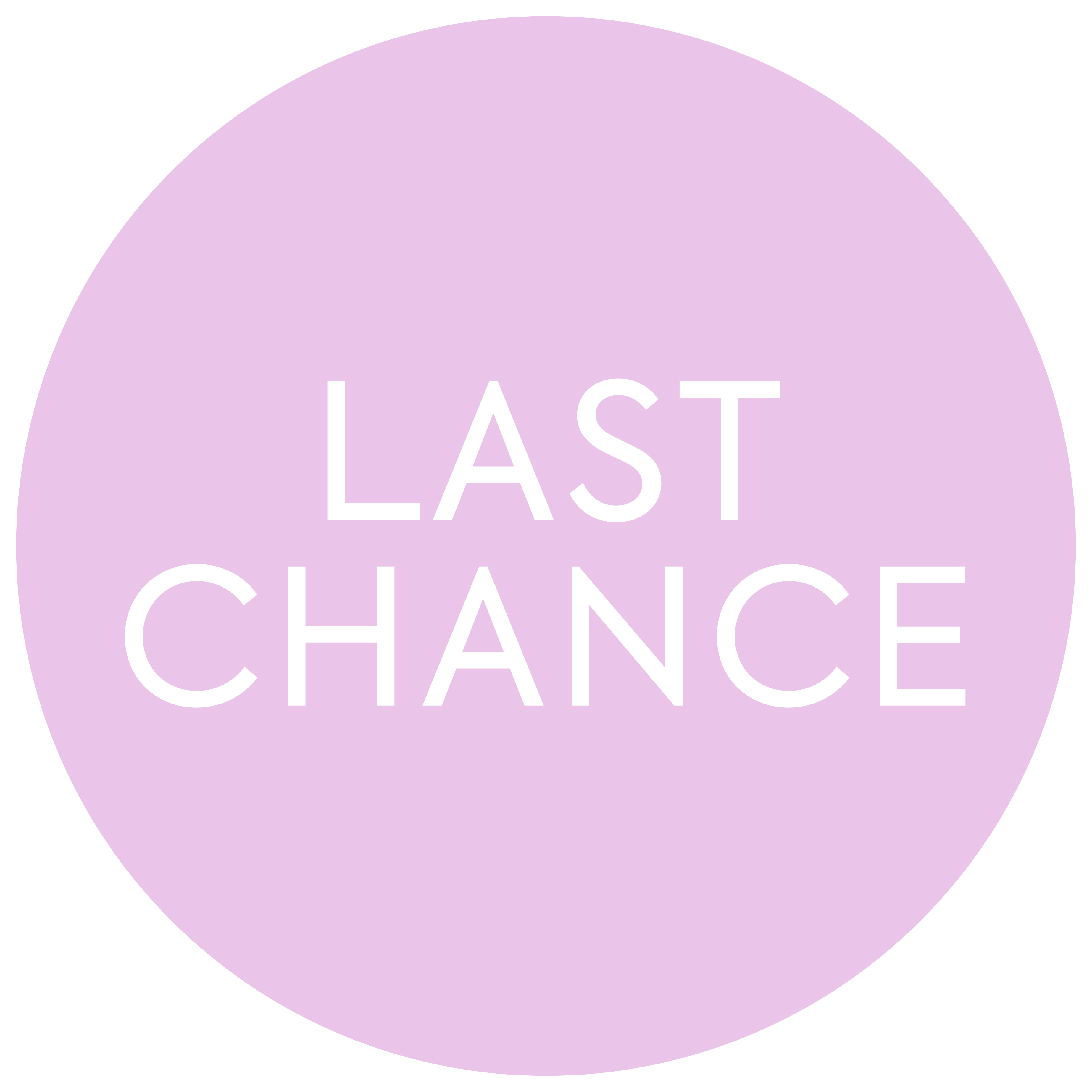 LAST CHANCE – Badge Beauties